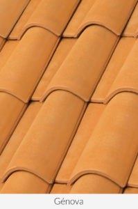 Teja Riviera archivos | Tejas El Águila